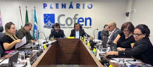 Cofen aprova criação de subseções administrativas para os Conselhos ...